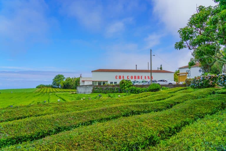 3 days in the Azores: a Sao Miguel itinerary - Travel on a Time Budget