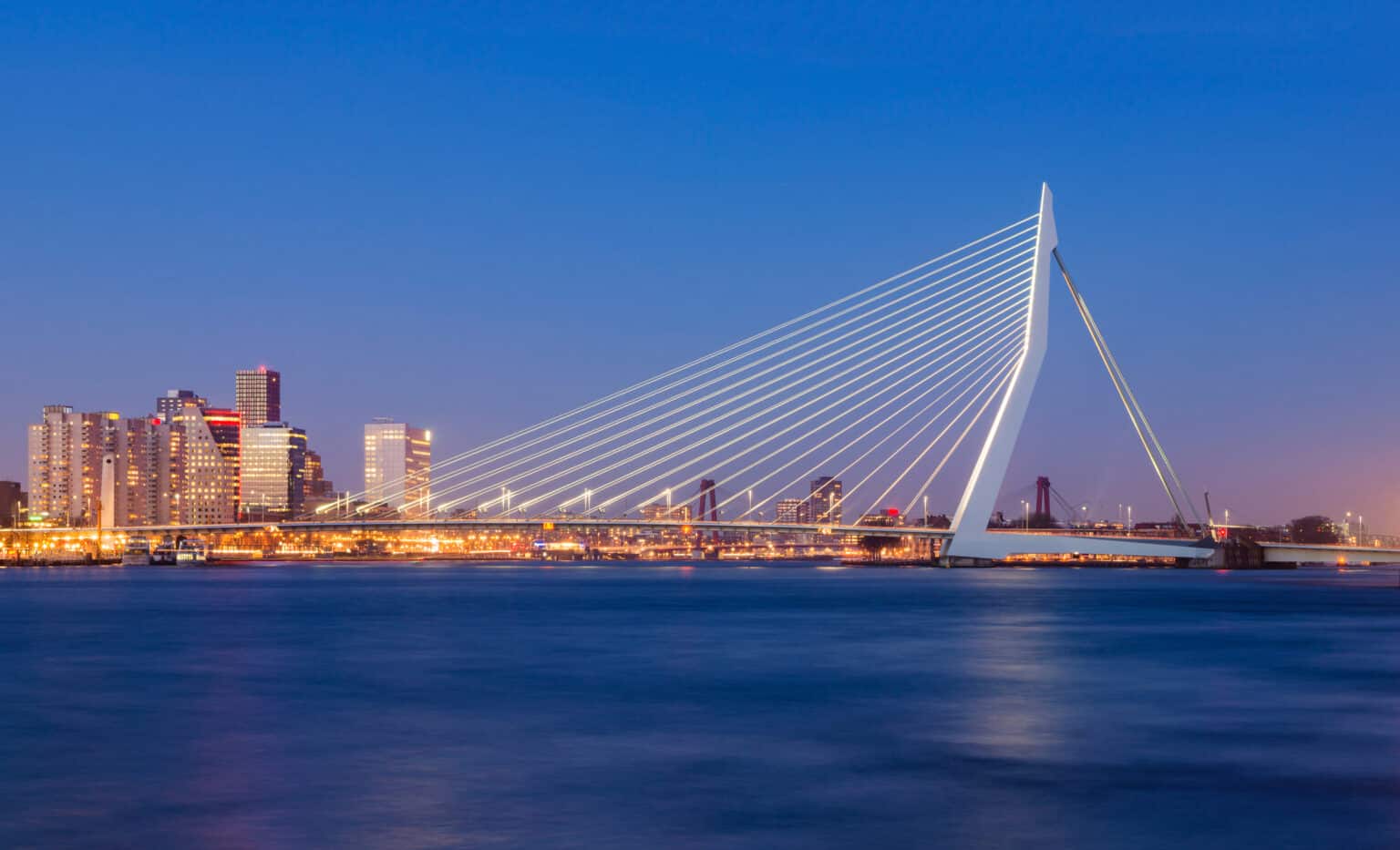 One day in Rotterdam: the best things to do - Travel on a Time Budget