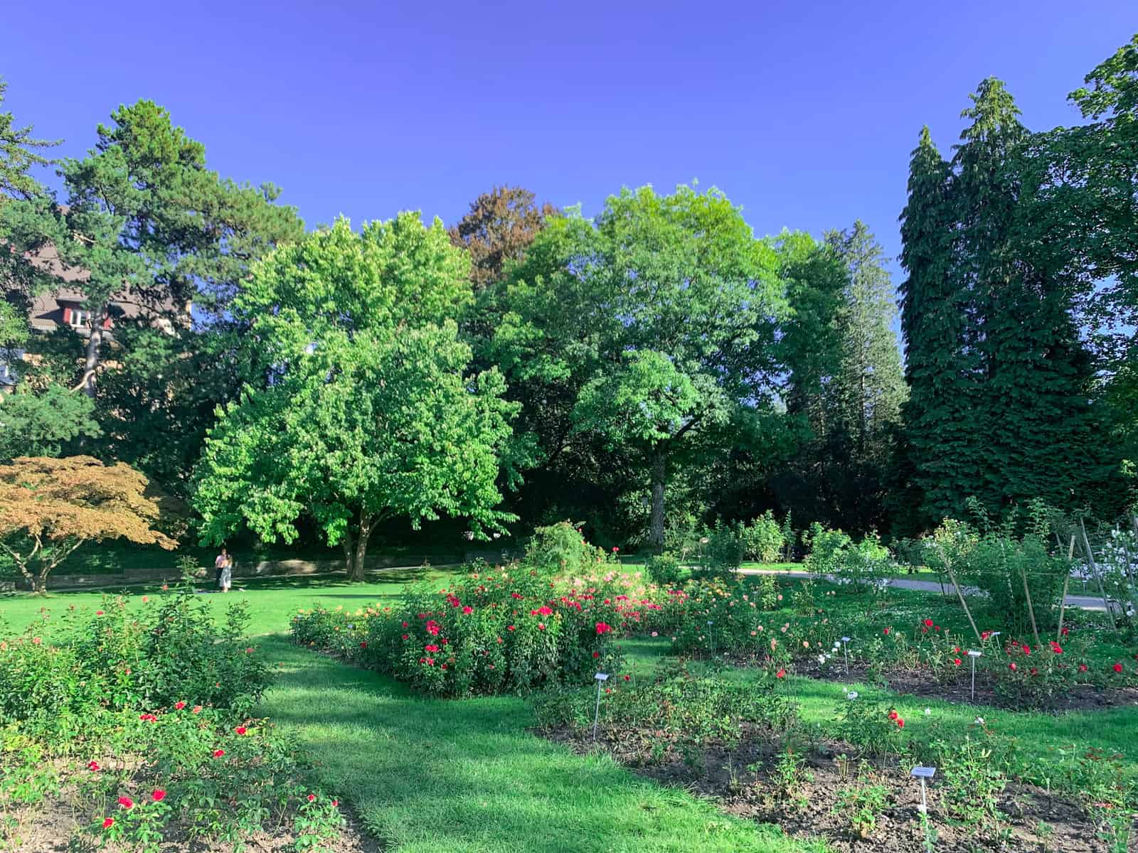 The 20 best things to do in Winterthur - Travel on a Time Budget